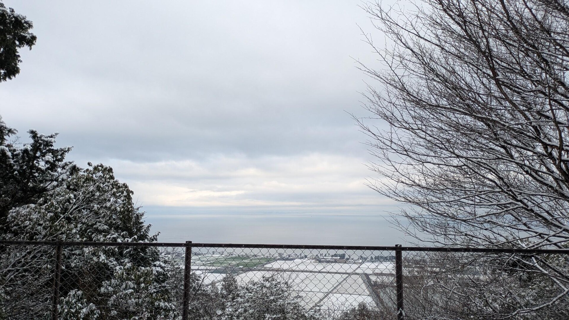 荒神山・日夏山 / S kazuさんの荒神山の活動データ | YAMAP / ヤマップ