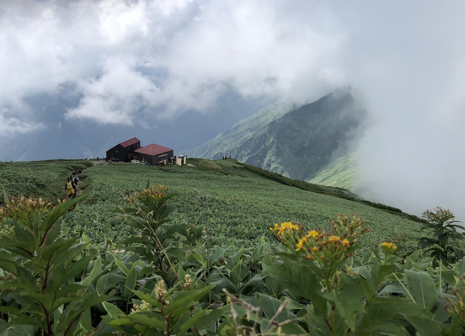 谷川岳（トマの耳•オキの耳） / ミュウさんの谷川岳・七ツ小屋山・大源太山の活動データ | YAMAP / ヤマップ