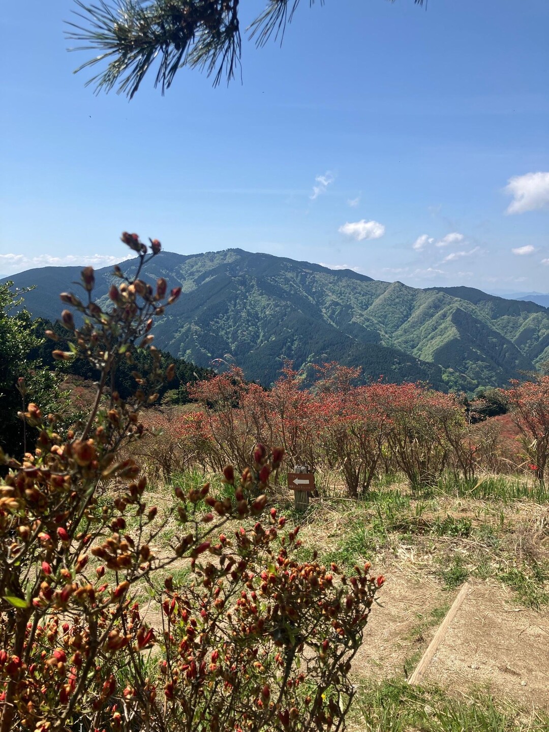 二上山から葛木岳・金剛山を経て紀見峠まで / MJさんの金剛山・二上山・大和葛城山の活動データ | YAMAP / ヤマップ