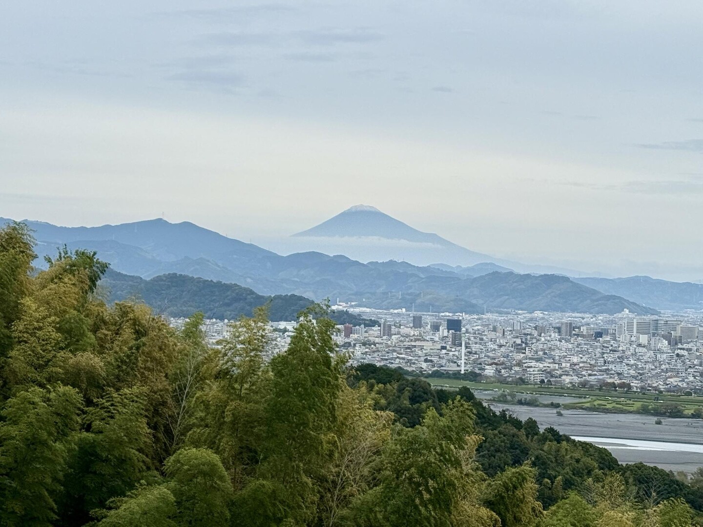 焼津アルプス🐟AR丸子 / nami さんの焼津アルプス（高草山・満観峰・花沢山）・徳願寺山の活動データ | YAMAP / ヤマップ