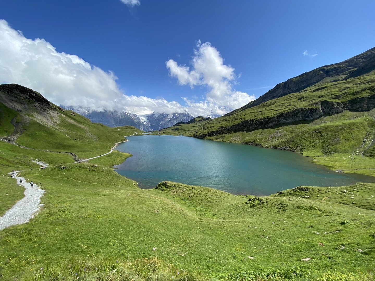 グリンデルワルド🇨🇭 First(フィルスト)→Bachalpsee(バッハアルプゼー) / ayuminさんのユングフラウの活動データ | YAMAP / ヤマップ