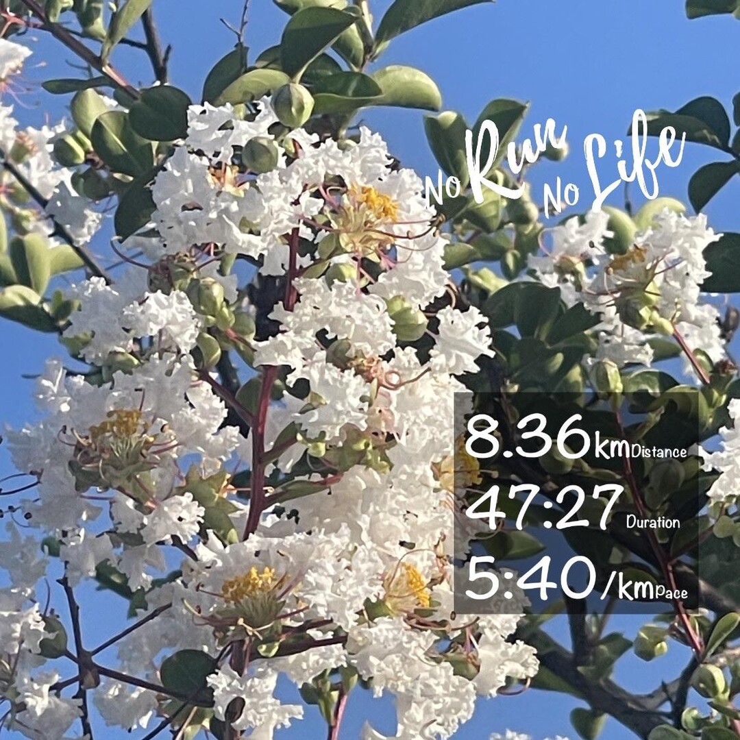 5時半でもこれだけ暑いから 今日もギラギ... / YOKOさんのモーメント | YAMAP / ヤマップ