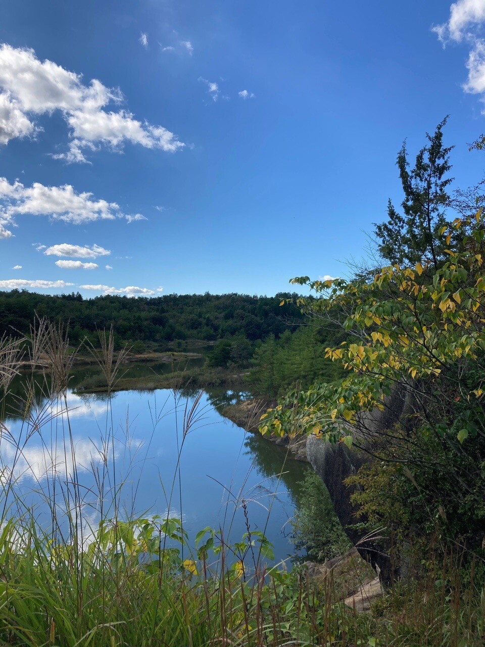 竜吟峡＆水晶山-2021-10-14 / kanapさんのウォーキングの活動データ | YAMAP / ヤマップ
