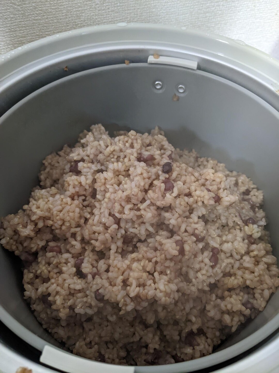 寝かせ玄米始めました 今日は生憎の雪な... / YOLOさんのモーメント | YAMAP / ヤマップ
