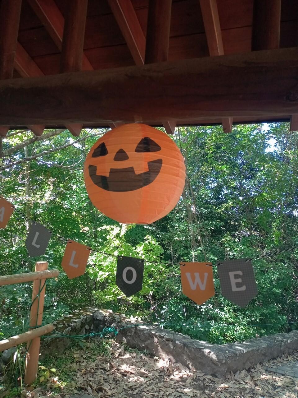 高尾山でハロウィンパーティー🎃 / mtkumiさんの登山の活動データ | YAMAP / ヤマップ