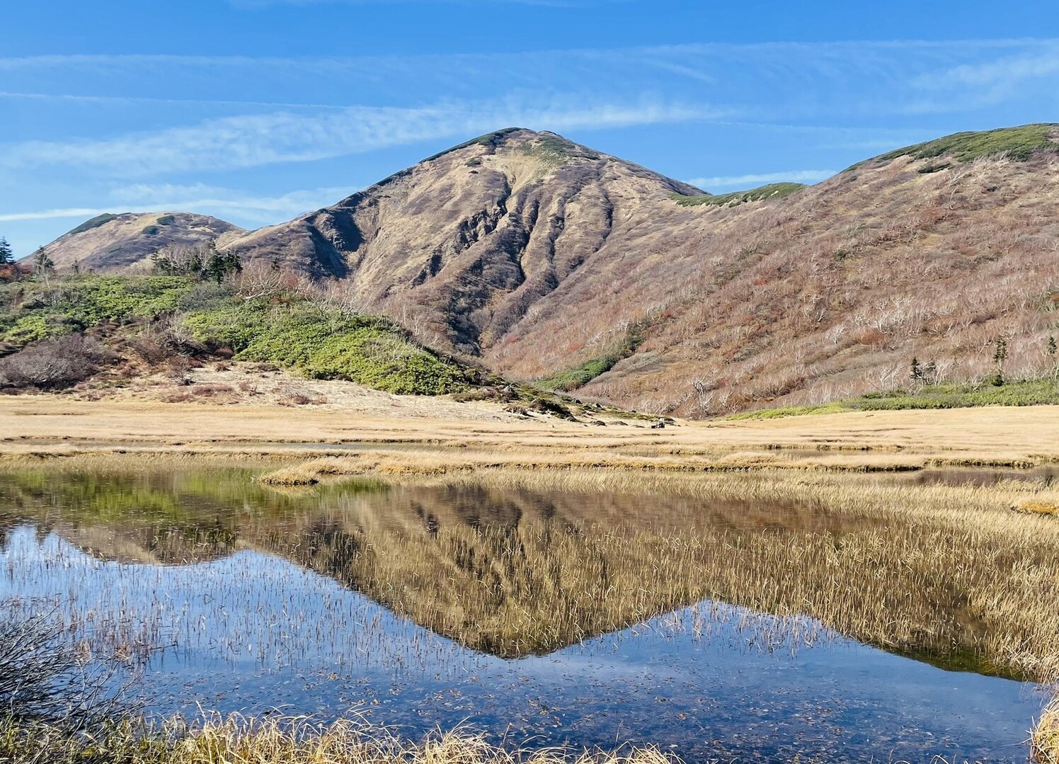紅葉見ながら🍁火打山 / m_ayaさんの妙高山・火打山の活動データ | YAMAP / ヤマップ
