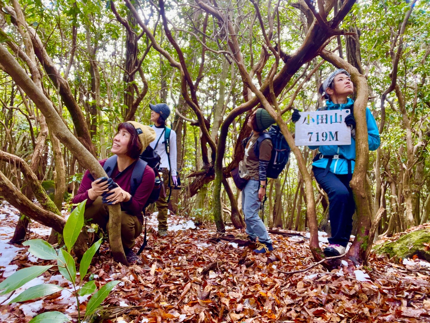 小田山 暴風Days / PEZ（ペッツ）さんの小田山の活動データ | YAMAP / ヤマップ
