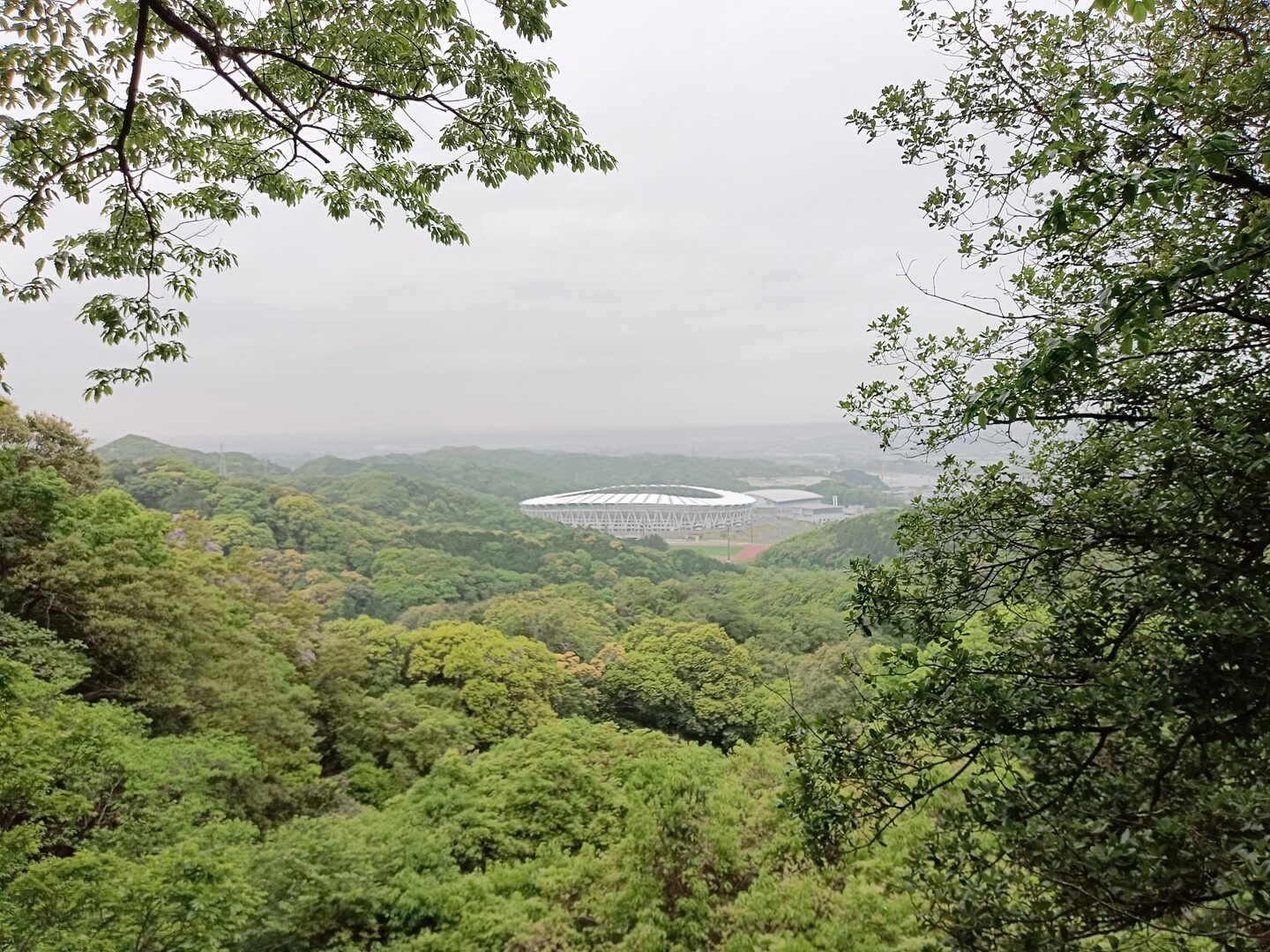 三ツ峰[団体] / k54さんの小笠山の活動データ | YAMAP / ヤマップ