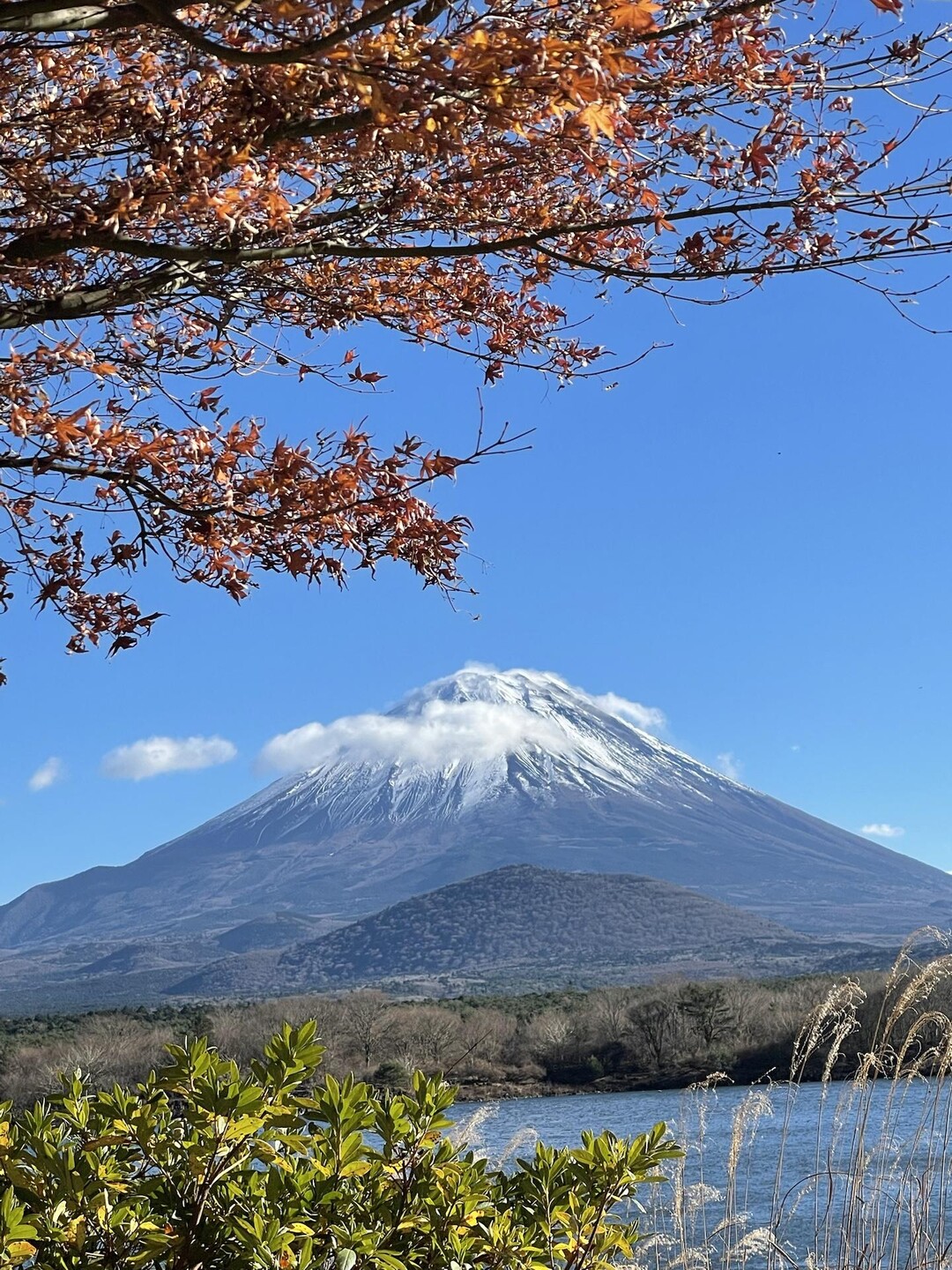 三方分山・精進山・パノラマ台 / マツさんのFUJISAN LONG TRAIL（御坂・三ツ峠エリア NORTH）の活動データ | YAMAP / ヤマップ
