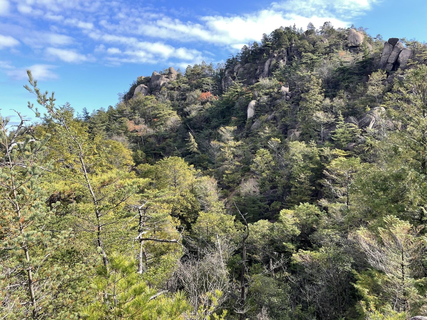 金勝アルプス 反時計周り / watsonさんの金勝アルプス（鶏冠山・竜王山）の活動データ | YAMAP / ヤマップ