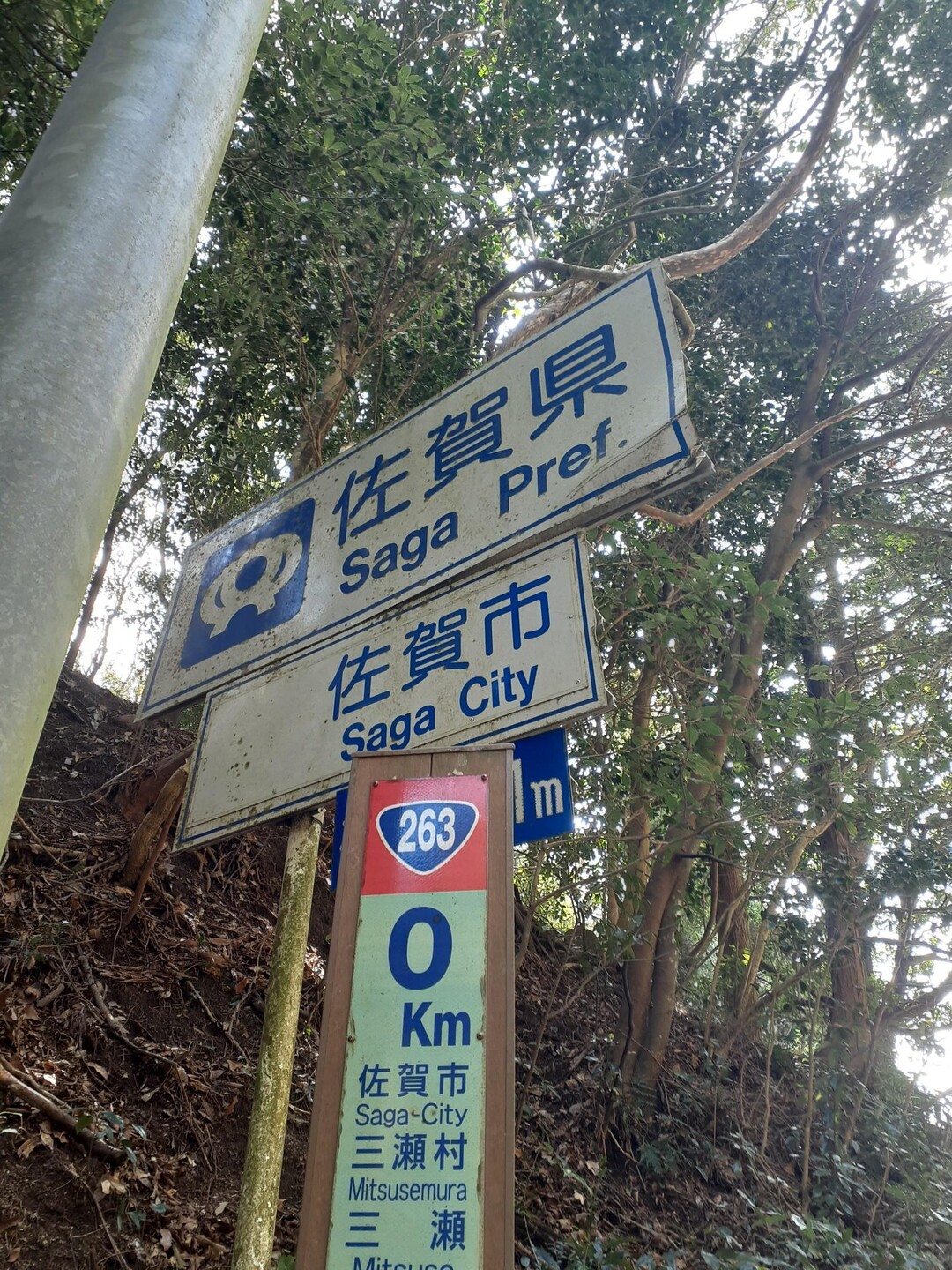 ロードバイクで三瀬峠⛰️ / CASIOPEAさんのランニングの活動データ | YAMAP / ヤマップ