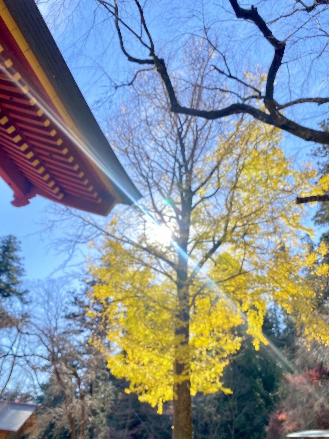 白雲山 / weixin liuさんの妙義山・天狗岳・相馬岳の活動データ | YAMAP / ヤマップ