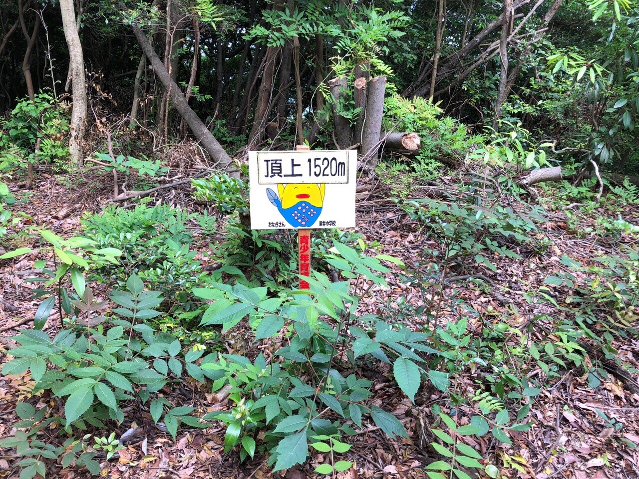 菩提山 / mt. sugさんの雲辺寺山の活動データ | YAMAP / ヤマップ