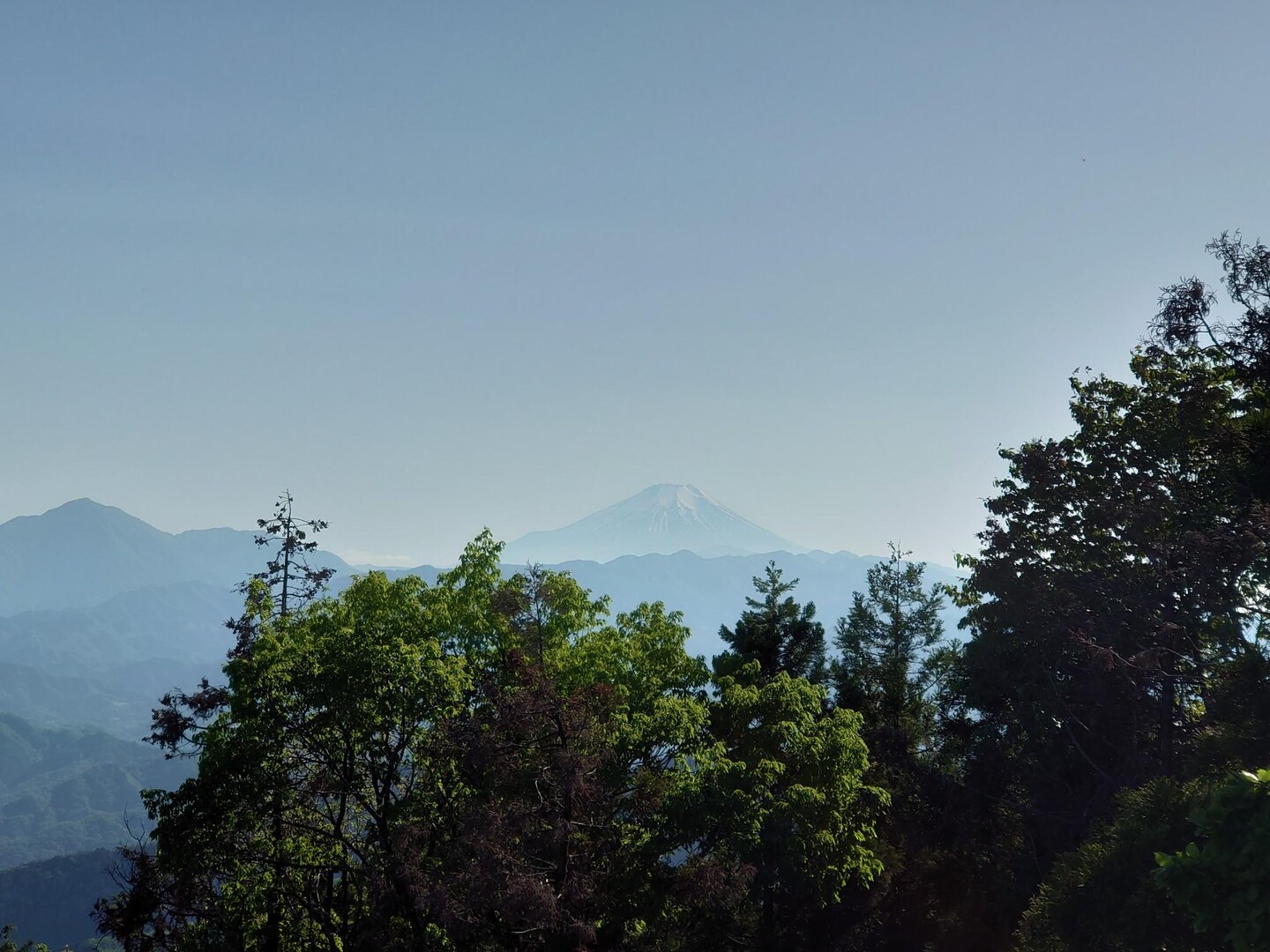 高尾山・城山（小仏城山）・景信山・堂所山・赤岩山 / t2718さんの高尾山・陣馬山・景信山の活動データ | YAMAP / ヤマップ