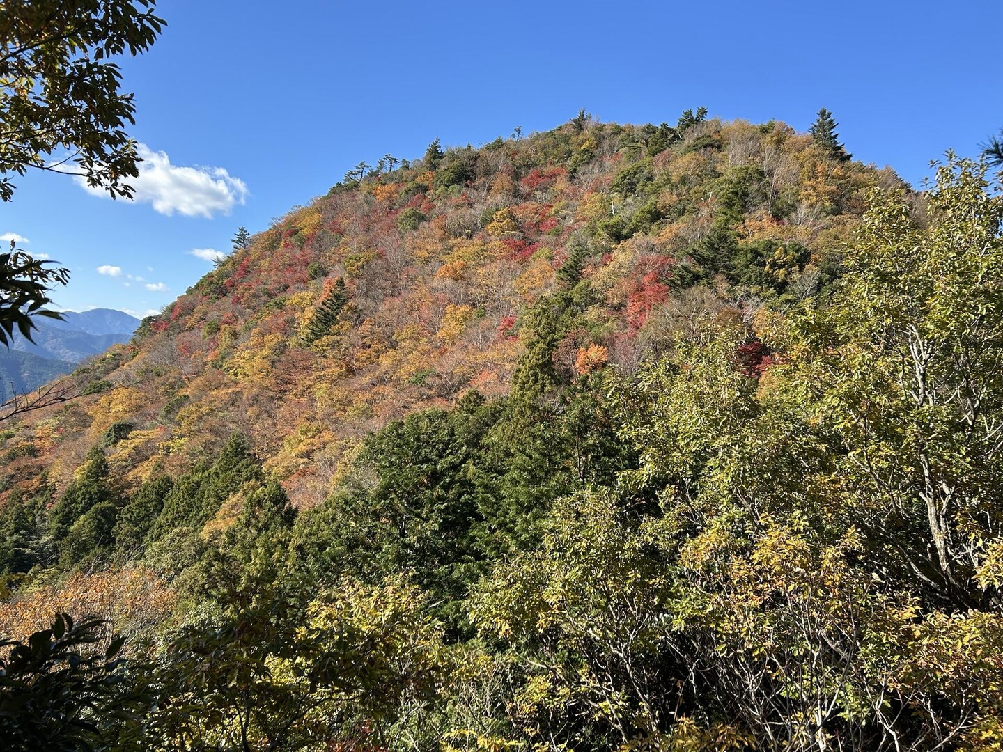 女浅間山・阿曽浅間山・網掛山 / kana Tさんの網掛山の活動データ | YAMAP / ヤマップ
