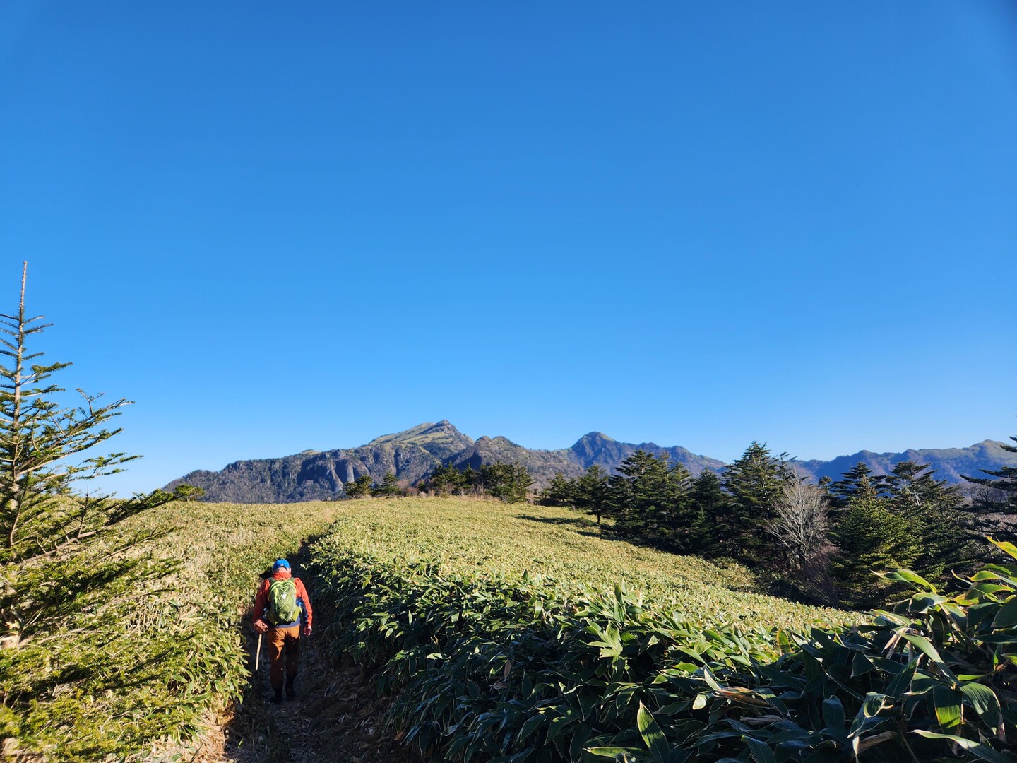 四国百名山だらっと踏破一直線 第11回... / TEAM志刻Walkerさんのモーメント | YAMAP / ヤマップ