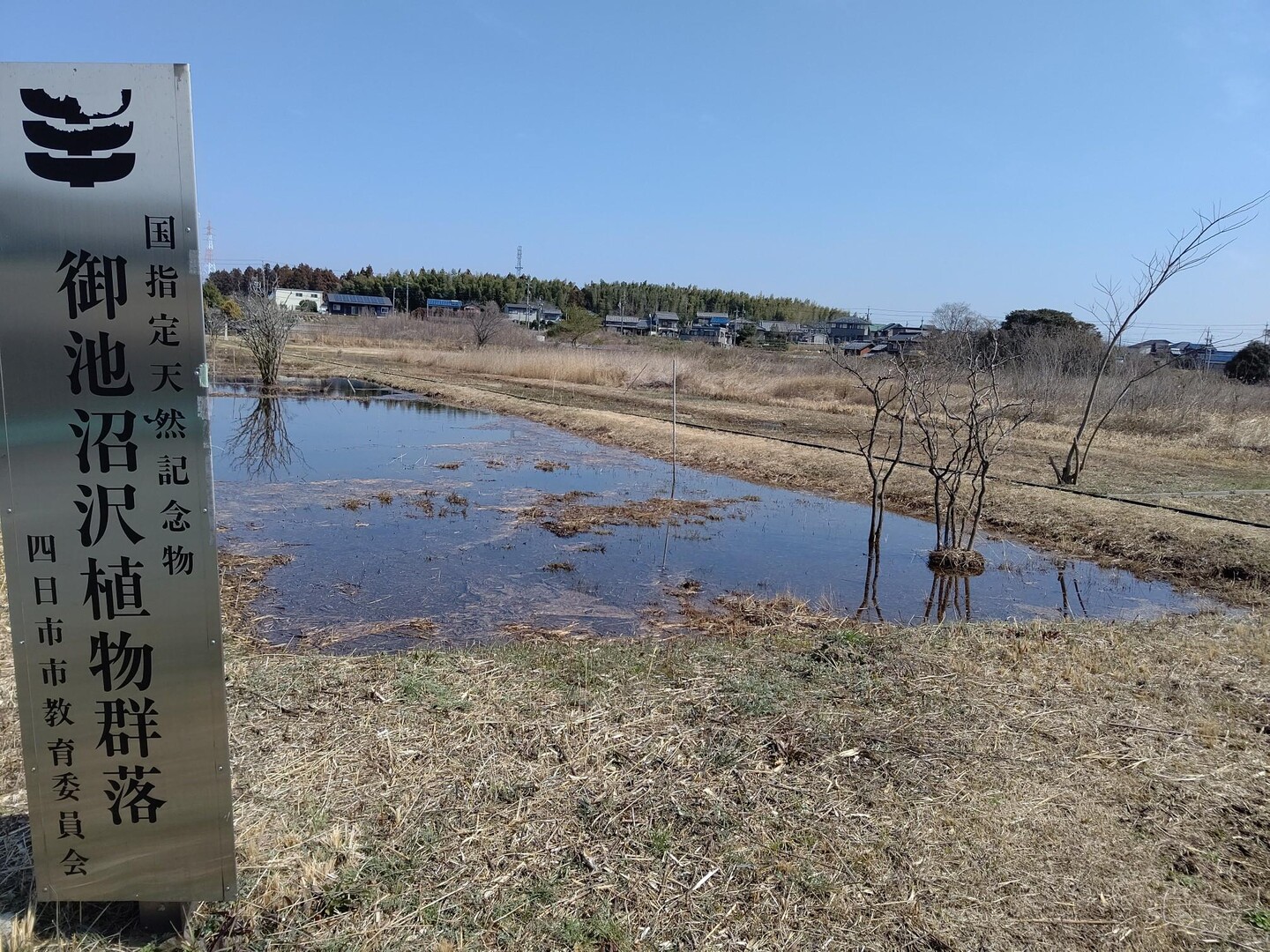 LSD / ふじもんさんのランニングの活動データ | YAMAP / ヤマップ