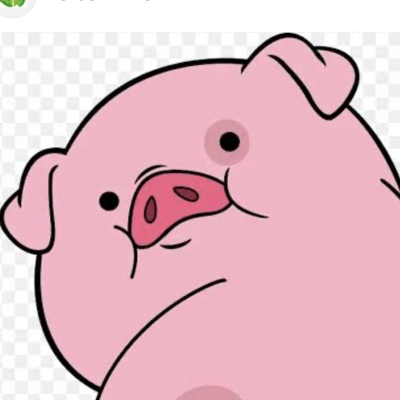 Boo🐷のページ | YAMAP / ヤマップ