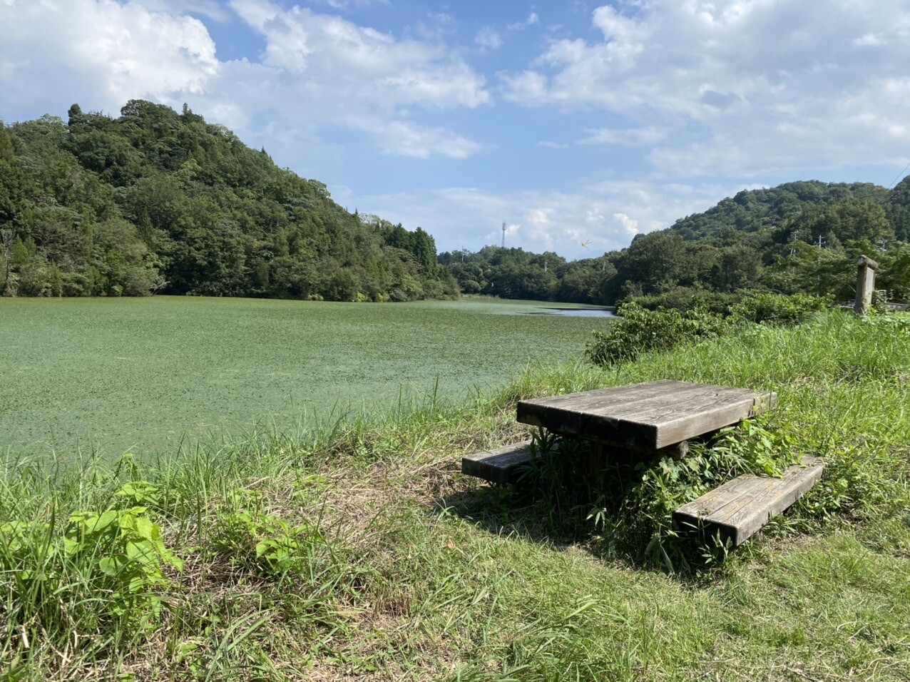 今日は気持ちの良い青空でした。 友人と湿... / Mikity さんのモーメント | YAMAP / ヤマップ