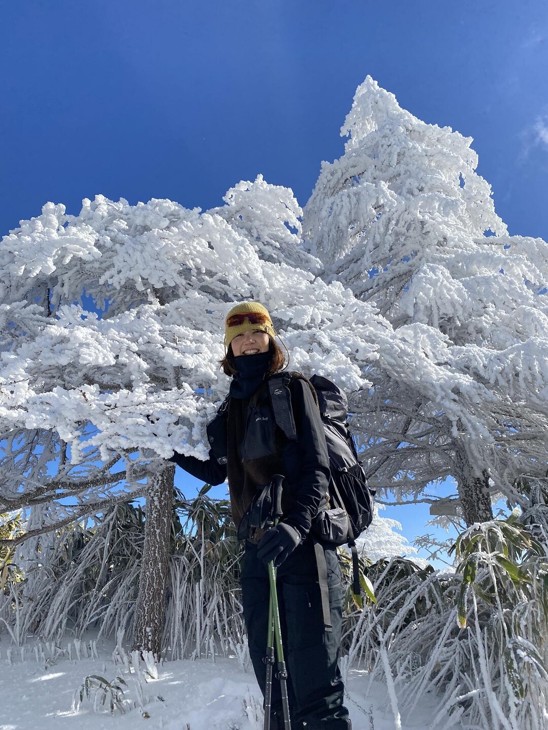 南沢山・横川山は最高でした！ / motusan さんの恵那山・大判山・神坂山の活動データ | YAMAP / ヤマップ