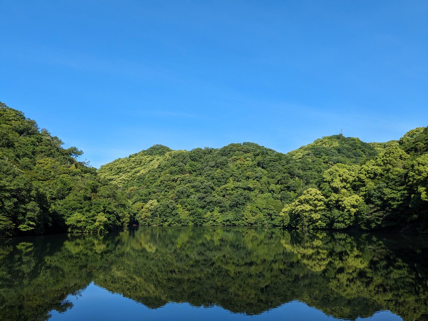 摩耶山＋シェール槍 / mettaさんの六甲山・長峰山・摩耶山の活動データ | YAMAP / ヤマップ