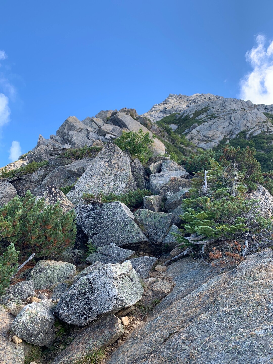 双児山・駒津峰・甲斐駒ヶ岳・摩利支天 / oioiさんの仙丈ヶ岳・伊那荒倉岳の活動データ | YAMAP / ヤマップ