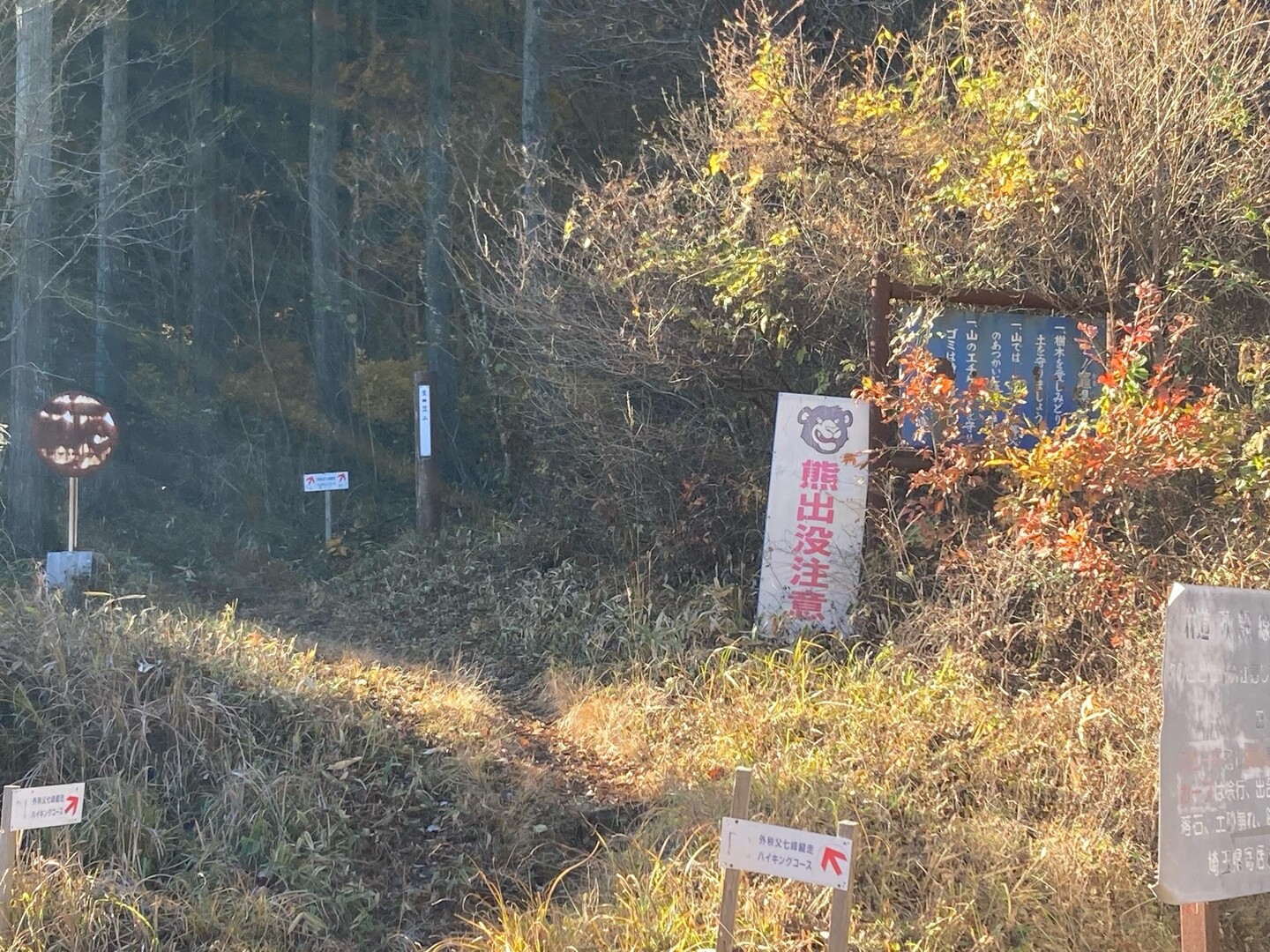 taoさんの投稿したフィールドメモ | YAMAP / ヤマップ