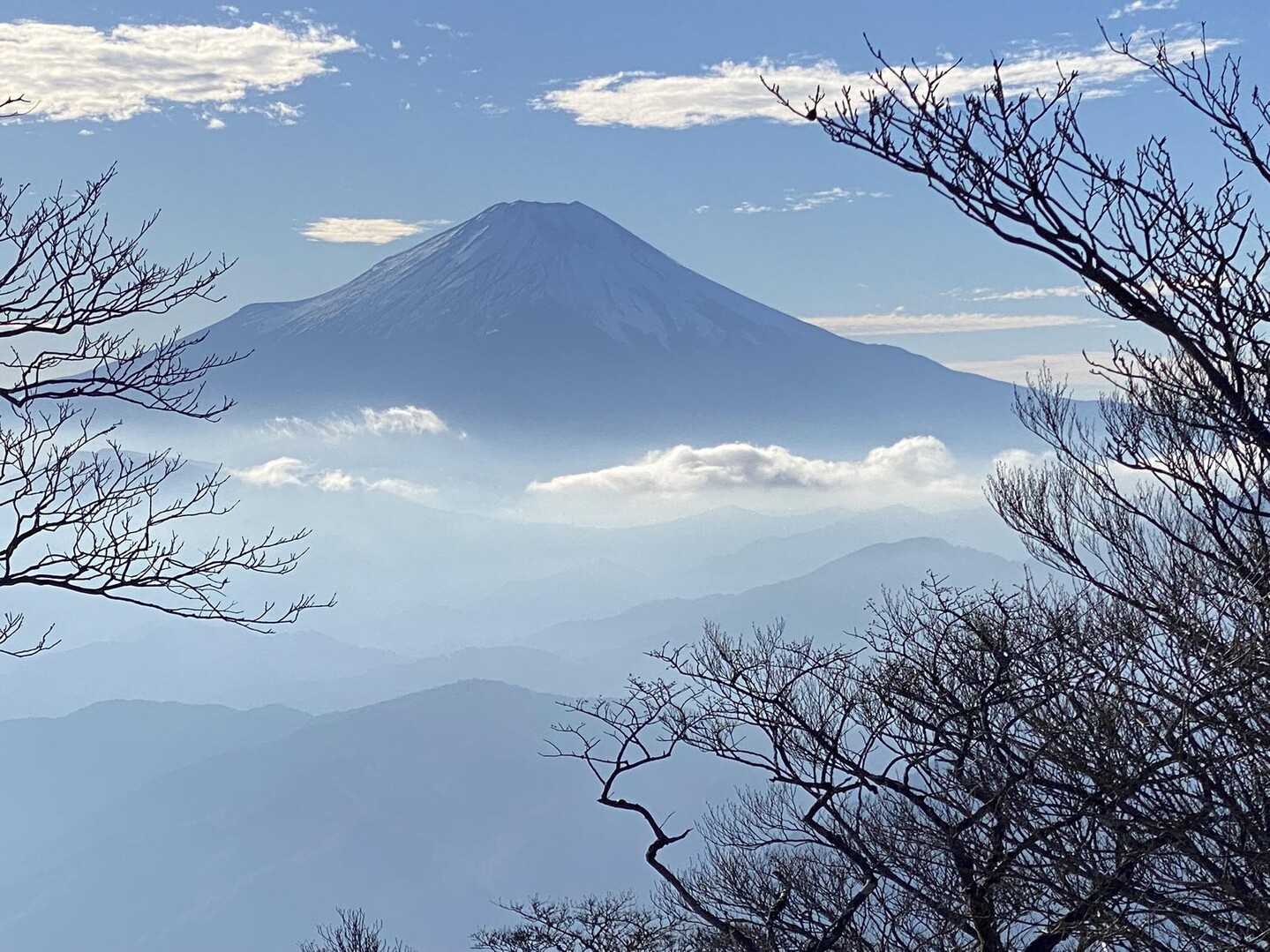 🍁蛭ヶ岳・丹沢主脈&主稜 🗻西丹沢VCへ縦走🥾 / Ryutaroさんの塔ノ岳・丹沢山・蛭ヶ岳の活動日記 | YAMAP / ヤマップ