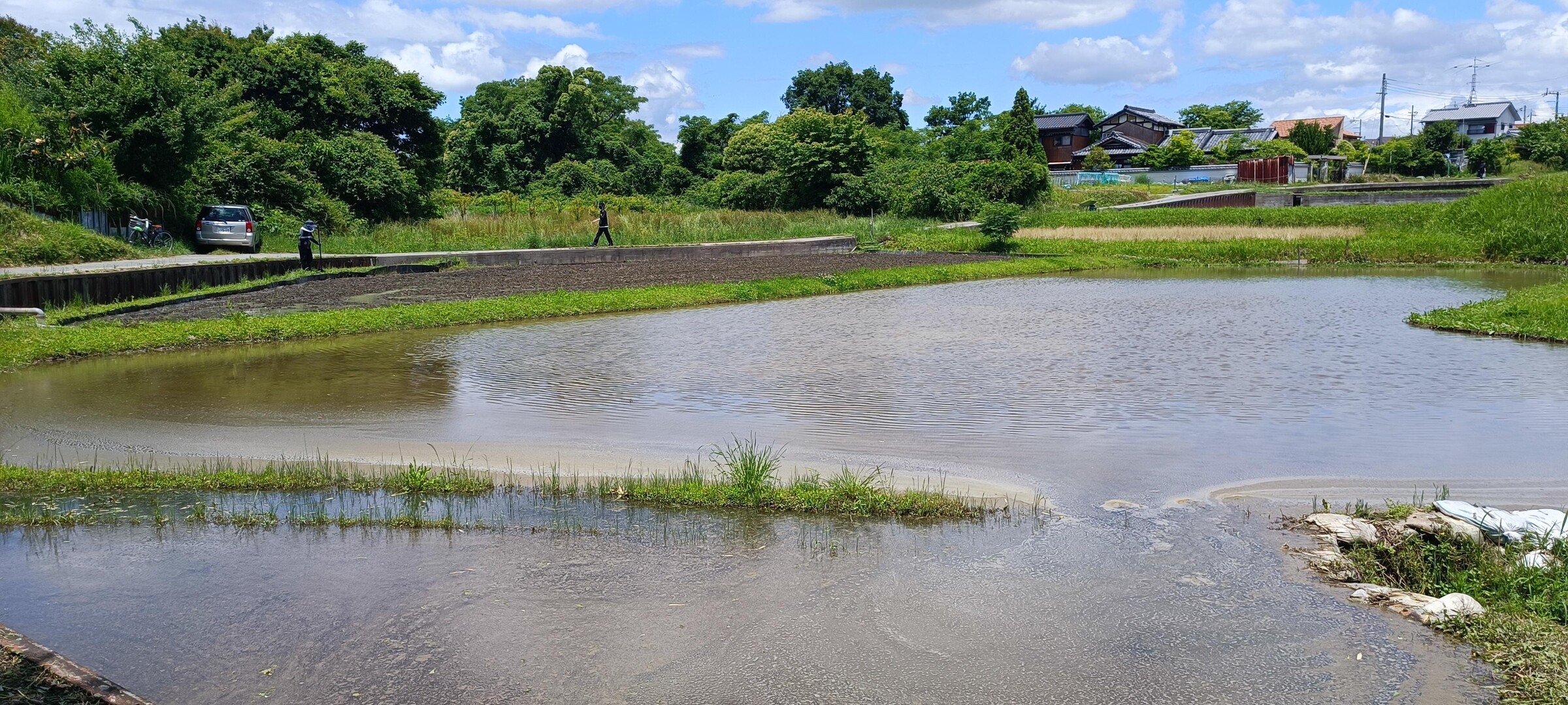 茄子作に水鏡を見にゆく / walkinさんの交野山・国見山の活動データ | YAMAP / ヤマップ