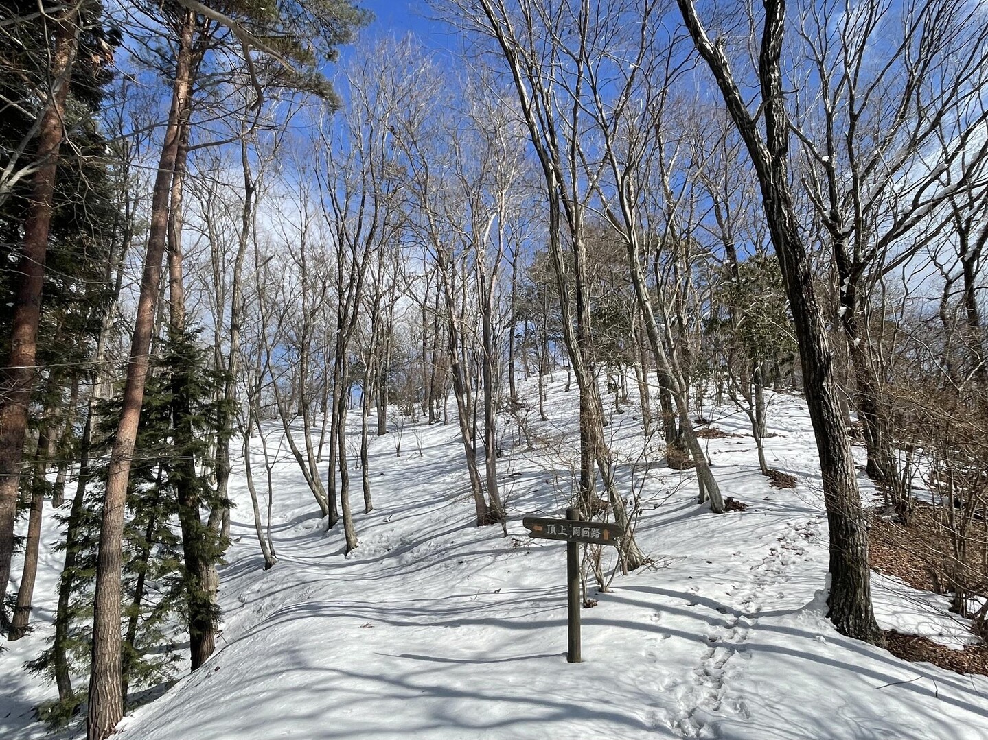 鷹巣山 / thyさんの鷹巣山の活動データ | YAMAP / ヤマップ