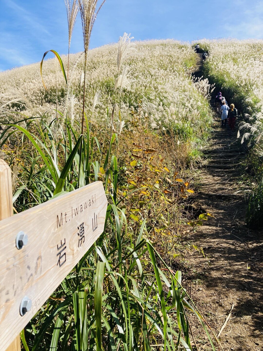 岩湧山 / azuさんの岩湧山・一徳防山・三石山の活動データ | YAMAP / ヤマップ