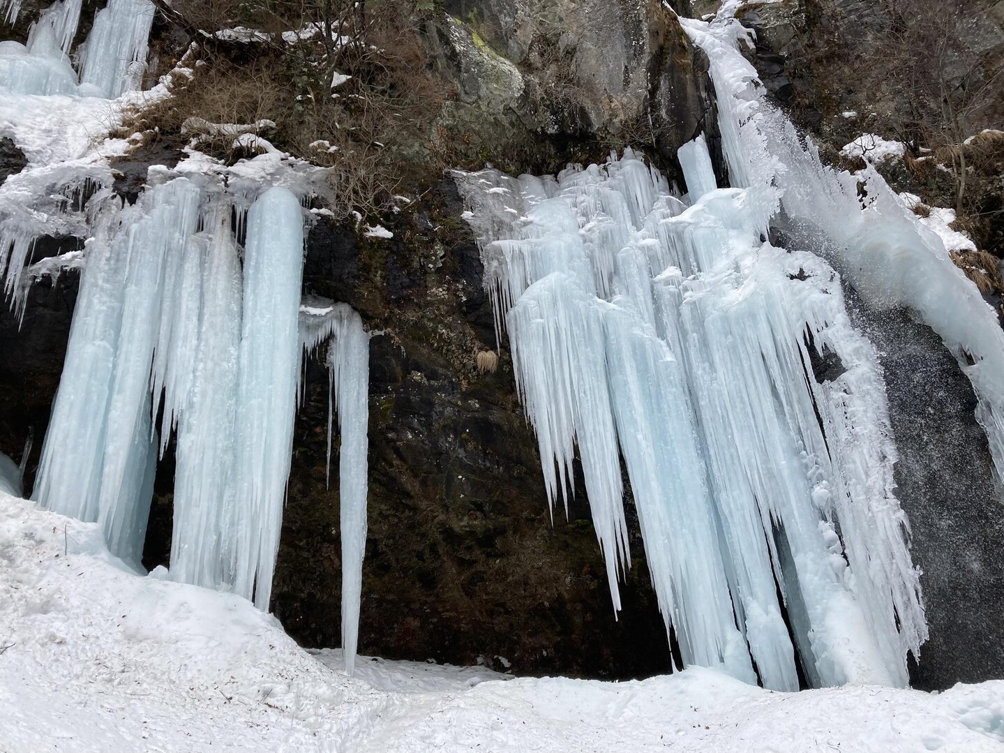 庵滝 氷瀑見に行ってオイラが滝汗💦の巻 / BONDIさんのウォーキングの活動データ | YAMAP / ヤマップ