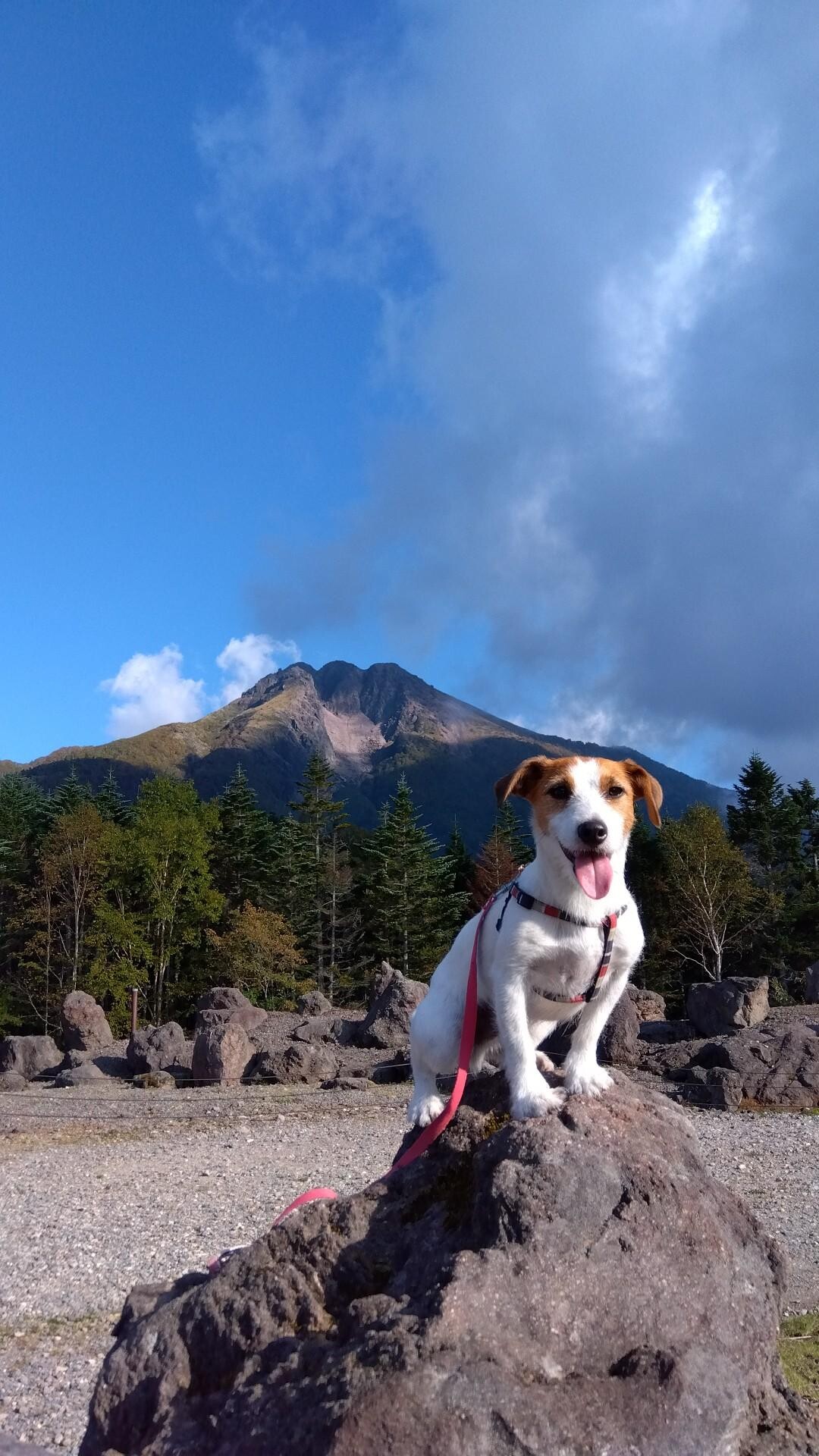 紅葉の日光白根山🍁ロープウェイで楽々登山🎶 / Veenaさんの日光白根山・五色山・錫ヶ岳の活動データ | YAMAP / ヤマップ