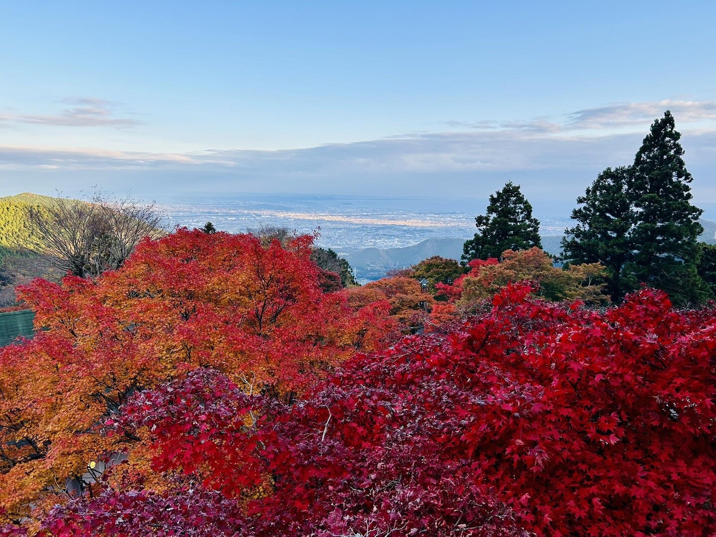 春嶽山・大山 / Pelliotさんの大山の活動データ | YAMAP / ヤマップ
