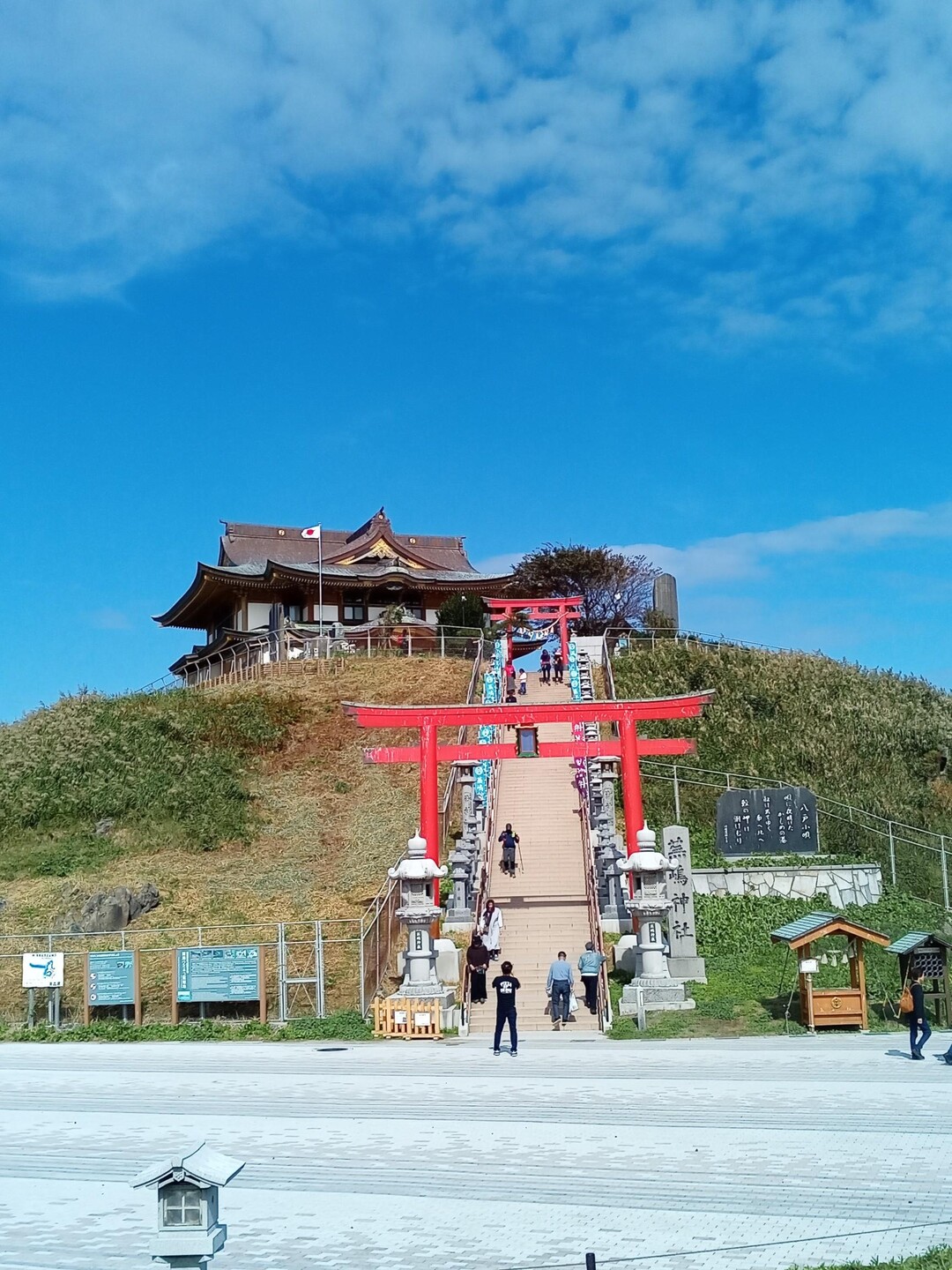 青森県の蕪島へ。 着島の時季では無いた... / kyo_koさんのモーメント | YAMAP / ヤマップ
