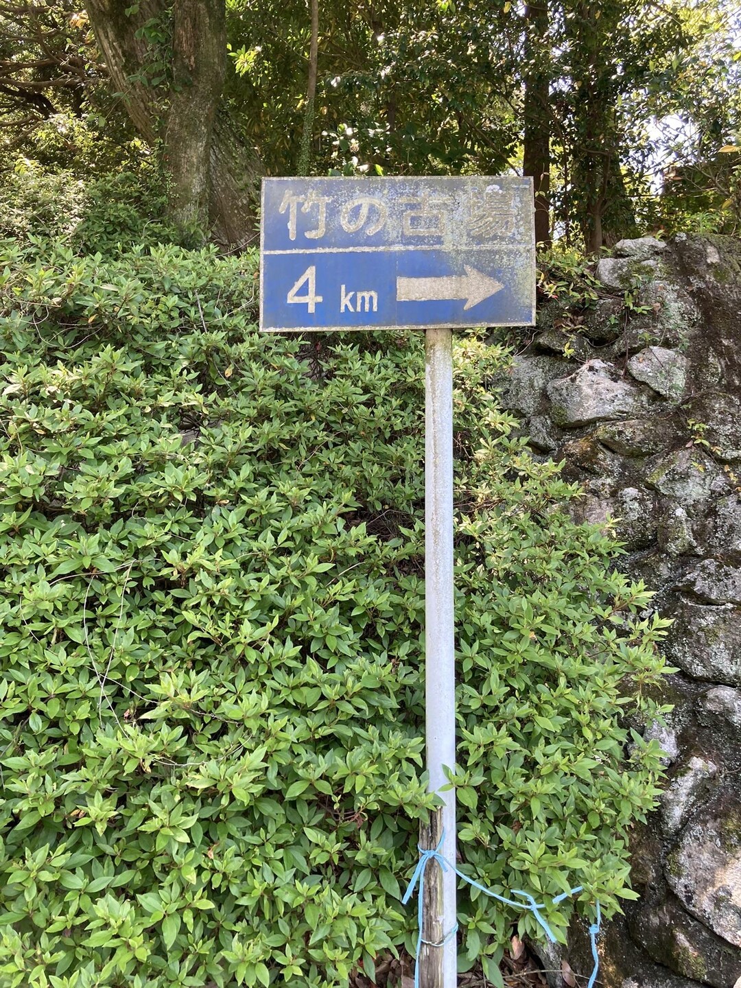 自主トレ-2024-05-17 / J・チュンさんのウォーキングの活動データ | YAMAP / ヤマップ