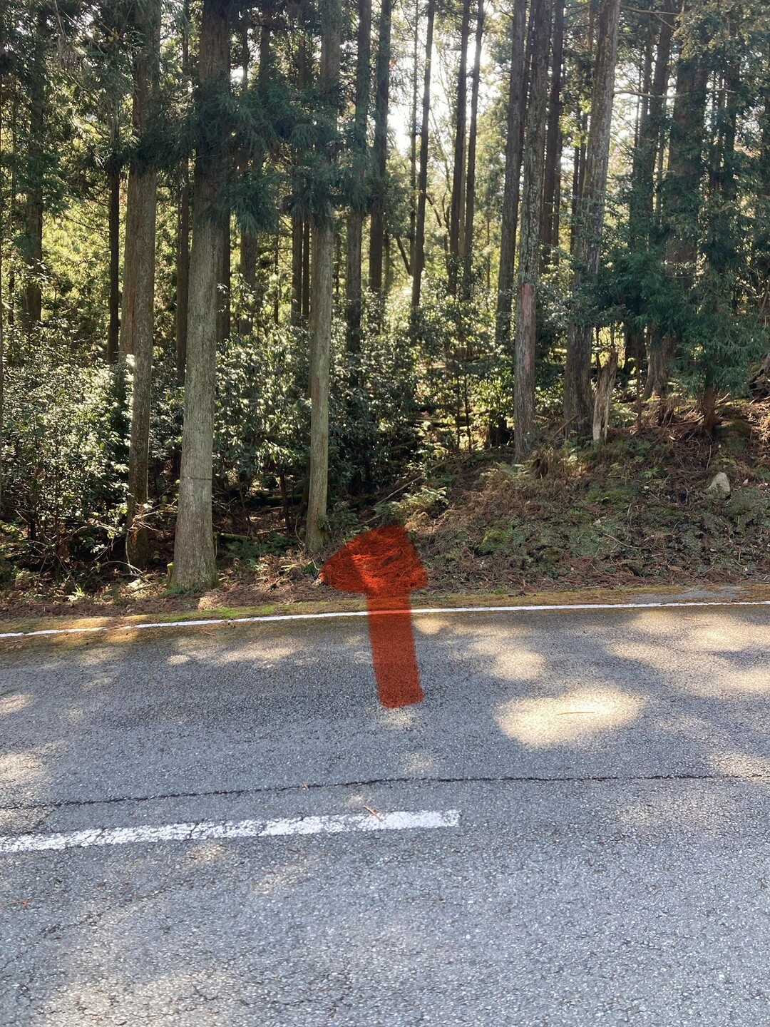 kaz330さんの投稿したフィールドメモ | YAMAP / ヤマップ