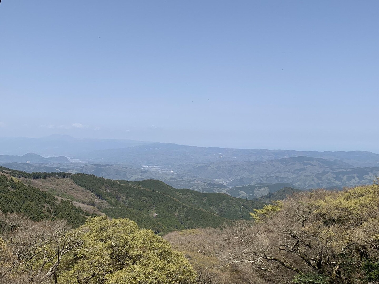 伊豆山稜線 天城峠から船原峠 25kmハイキング / 山とマラソンさんの棚場山・魂の山・猫越岳の活動データ | YAMAP / ヤマップ