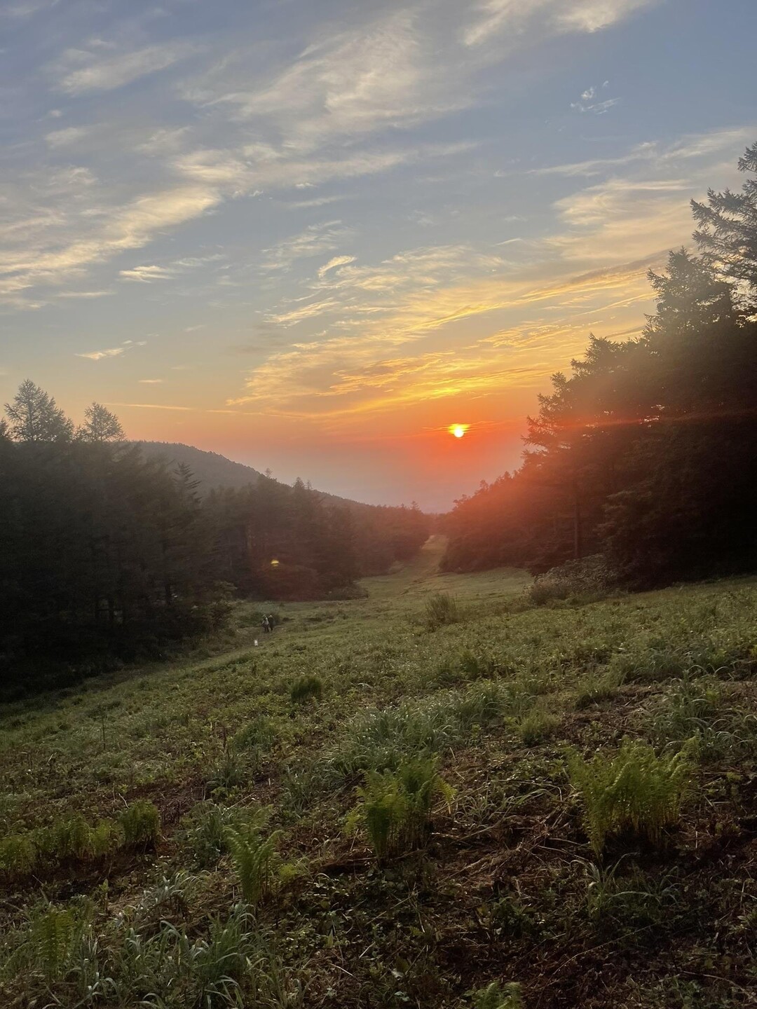 OSJ〜安達太良山50k / k0jio212さんの安達太良山・箕輪山・鬼面山の活動データ | YAMAP / ヤマップ