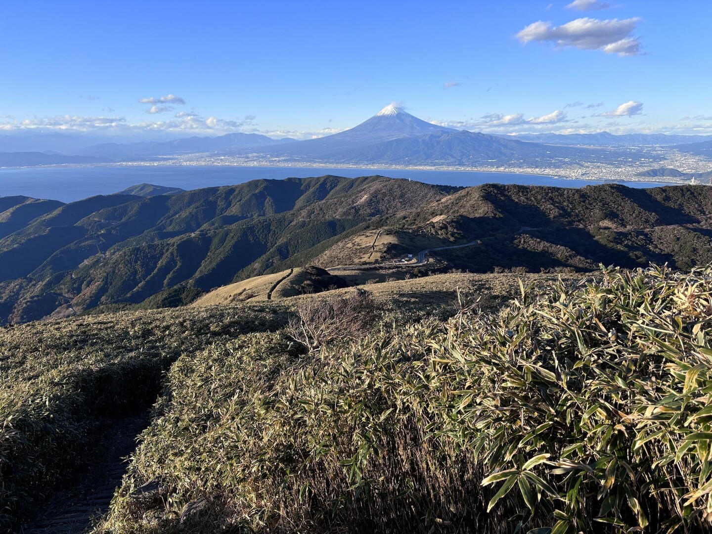 達磨山 / Shu岳さんの金冠山・達磨山・葛城山の活動データ | YAMAP / ヤマップ