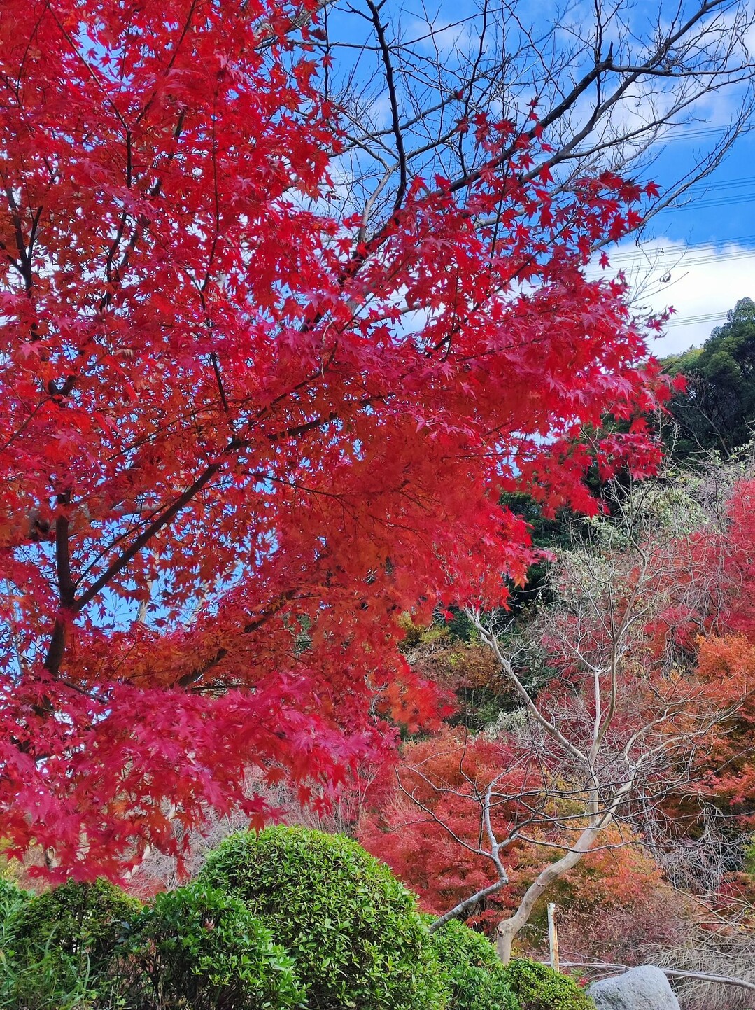宝満山 / minさんの宝満山・三郡山・若杉山の活動データ | YAMAP / ヤマップ
