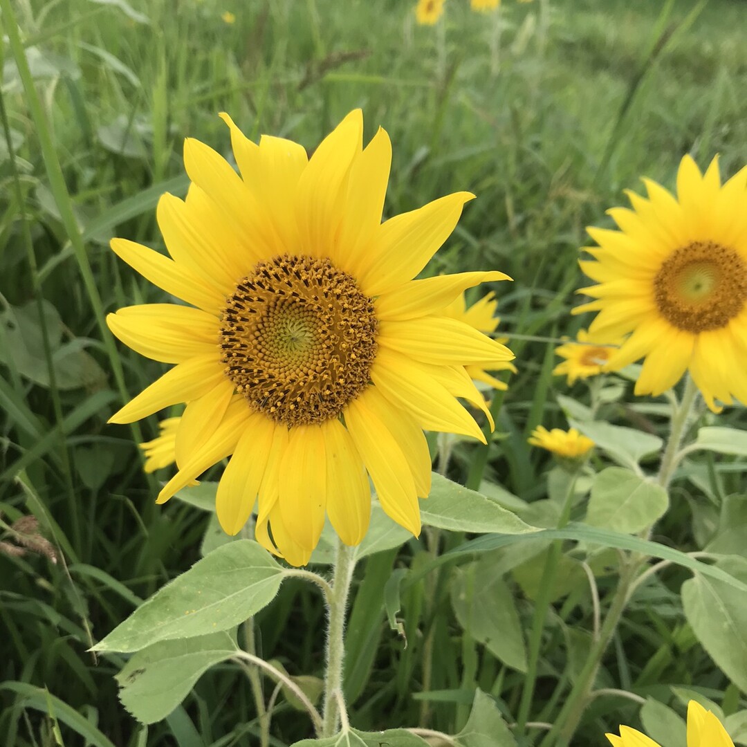 keikoのページ | YAMAP / ヤマップ