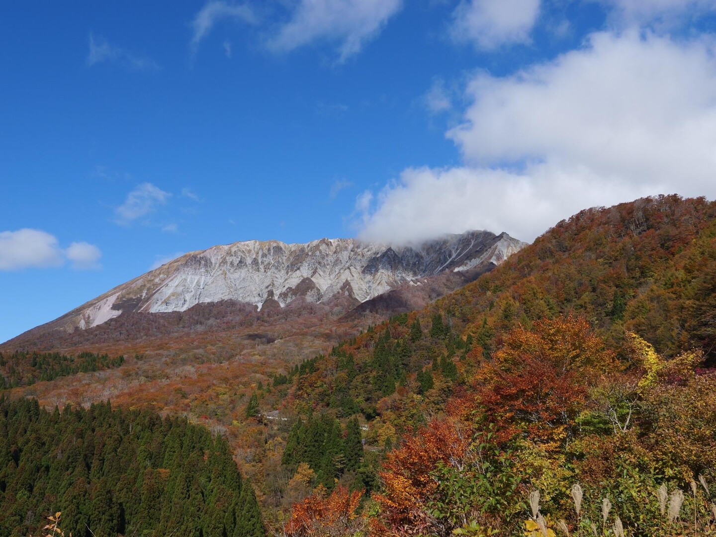 大山 紅葉 / wanbenさんのモーメント | YAMAP / ヤマップ
