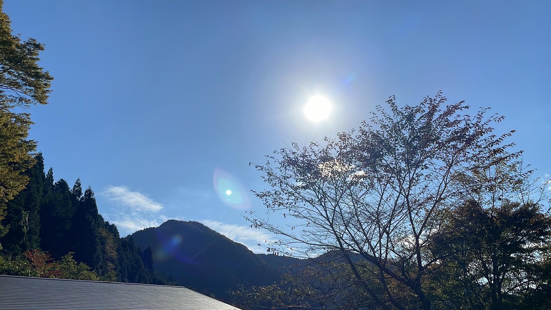 今日は千早本道で / KOH-Z(オッサン釣り倶楽部)さんの金剛山・二上山・大和葛城山の活動データ | YAMAP / ヤマップ