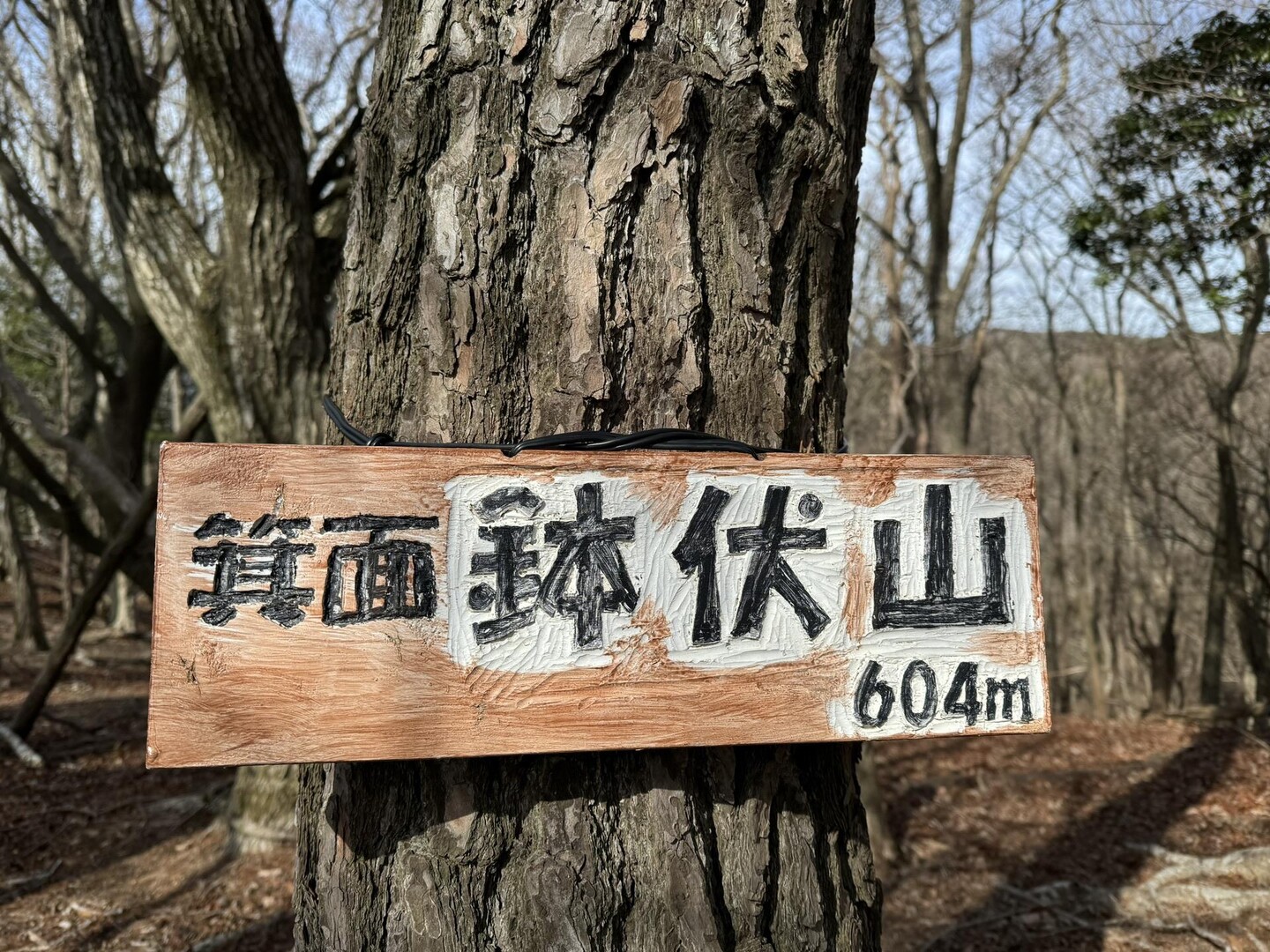 鉢伏山 / maecciさんの六個山・鉢伏山・明ヶ田尾山・五月山の活動データ | YAMAP / ヤマップ