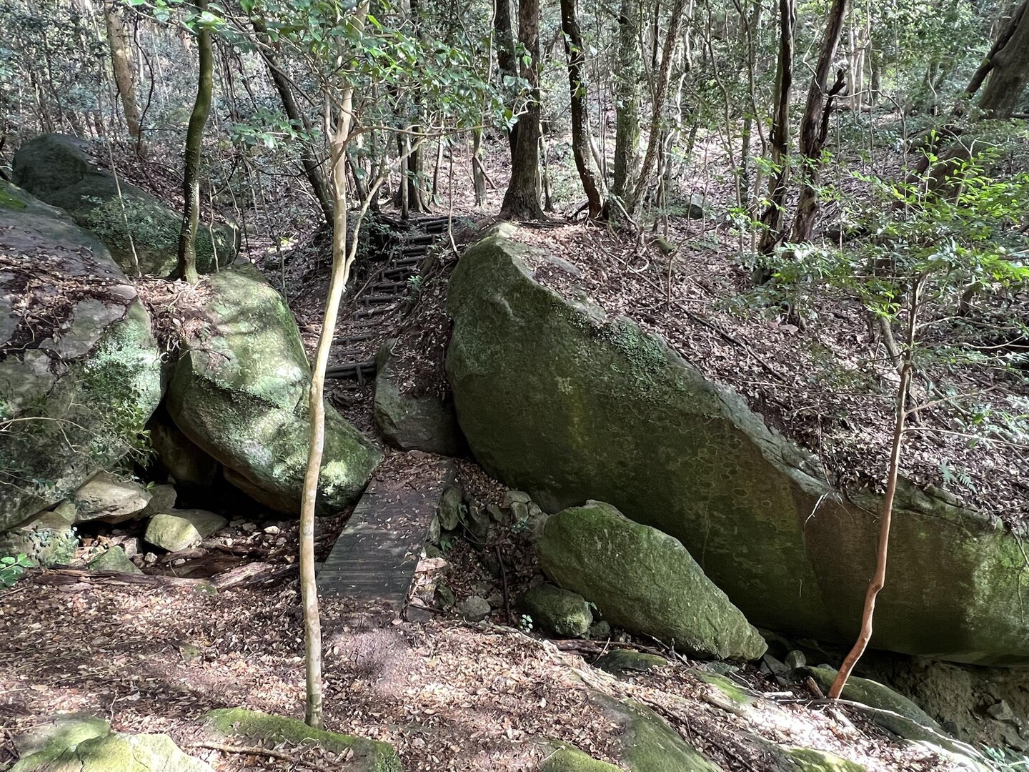 Giant stone park 🔂 金立山 / i.takuさんの金立山・金敷城山の活動データ | YAMAP / ヤマップ
