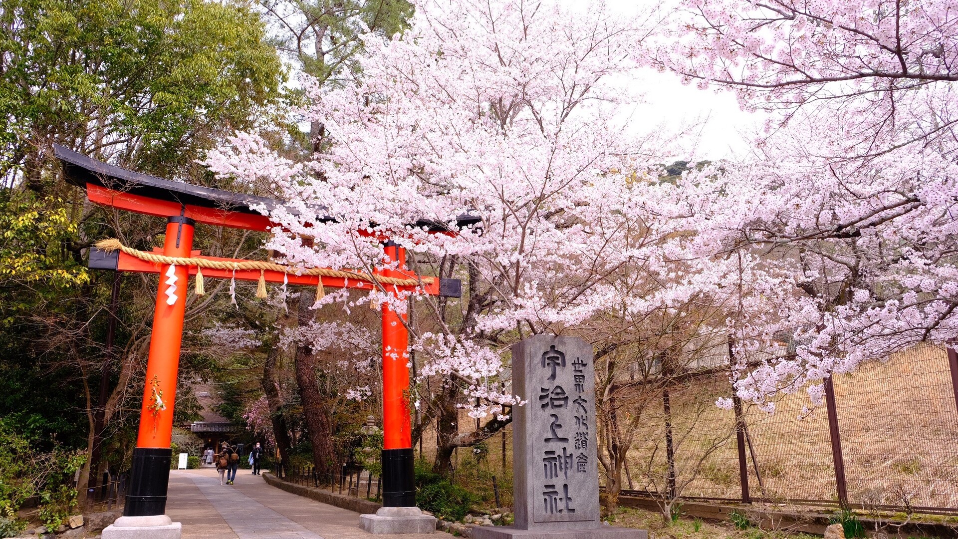 京都に来ております / Hiroakiさんのモーメント | YAMAP / ヤマップ