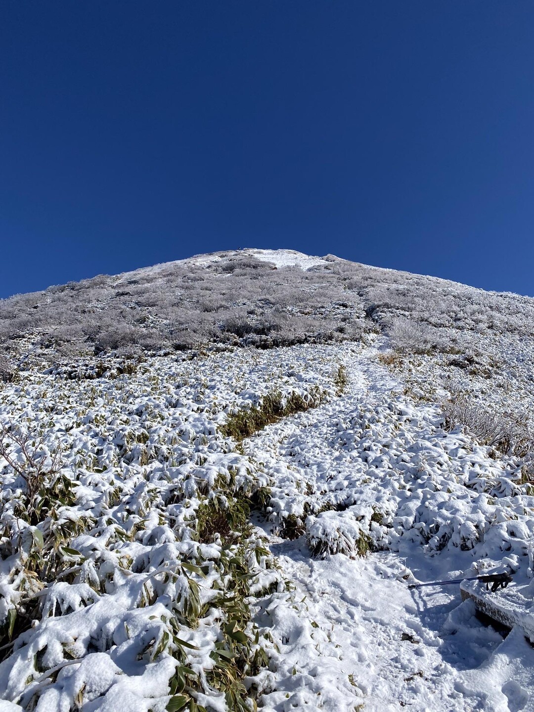 松手山・平標山 / Okkyさんの仙ノ倉山・平標山・大源太山の活動データ | YAMAP / ヤマップ
