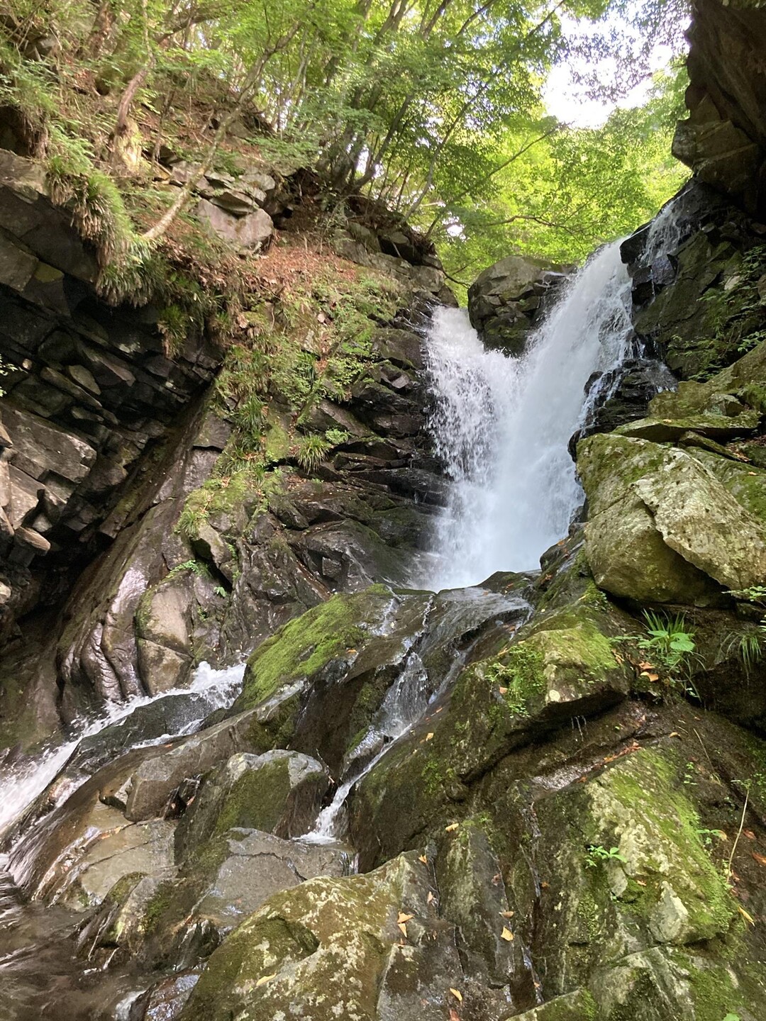 けんとくさん / KYOSOさんの乾徳山・黒金山の活動データ | YAMAP / ヤマップ