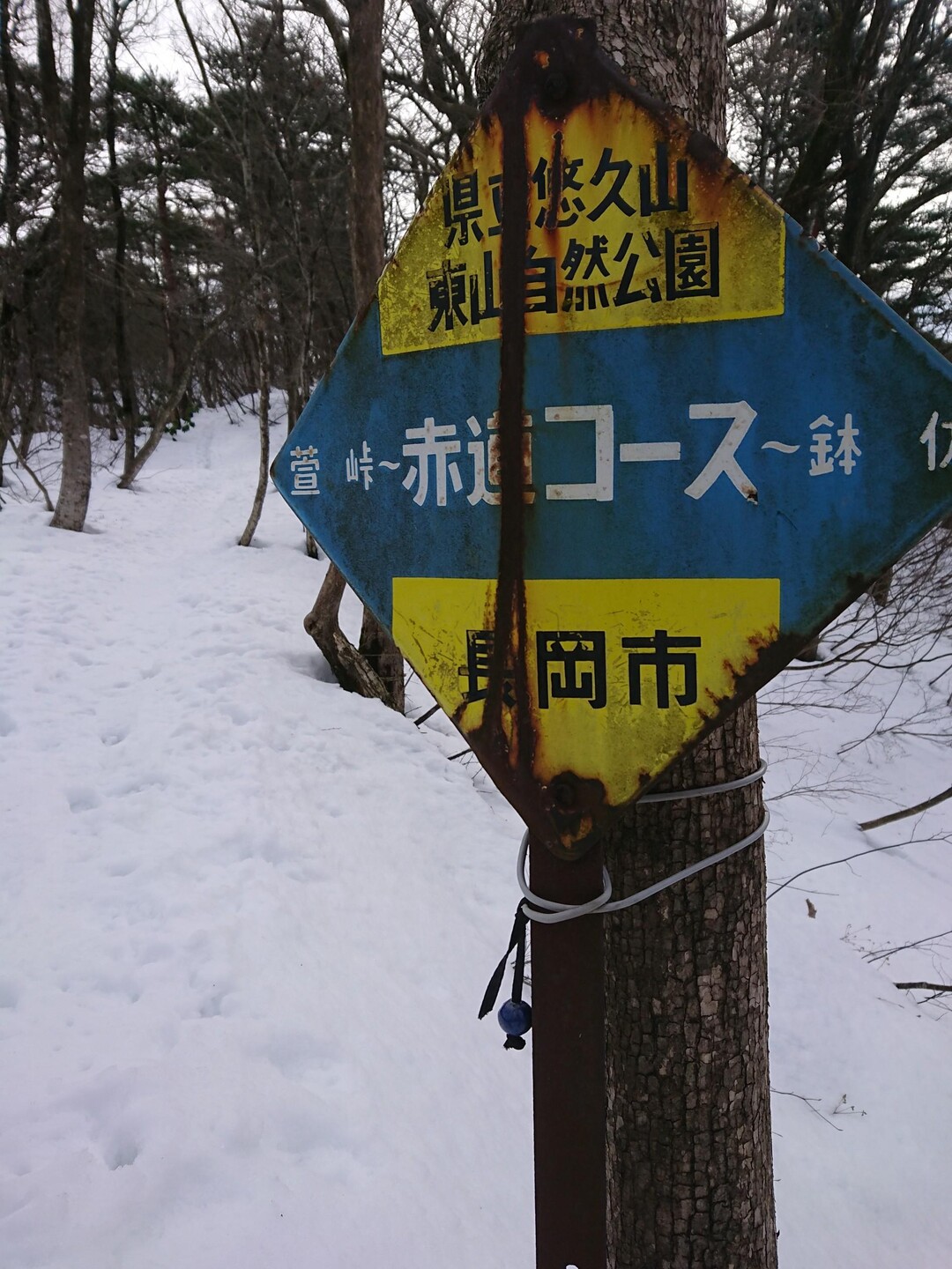 三ノ峠山(2) / tak_kerさんの鋸山・三ノ峠山・八方台の活動データ | YAMAP / ヤマップ